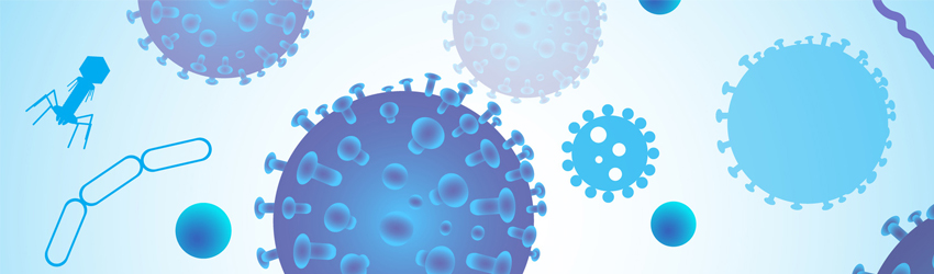 Baculovirus-Insect Cell Protein Expression
