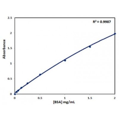 BCA Protein Assay Kit