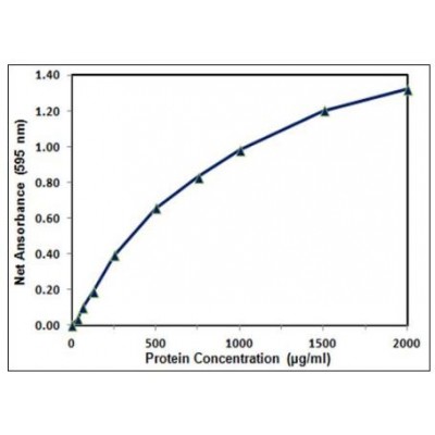 Bradford Protein Assay Kit