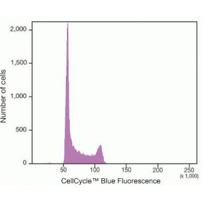 Cell Cycle Blue Stain