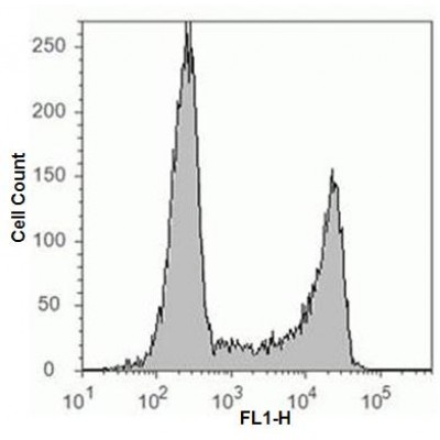 LiFluor™ 647 EdU Flow Cytometry Assay Kit