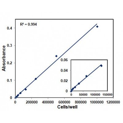 MTT Cell Proliferation Assay Kit