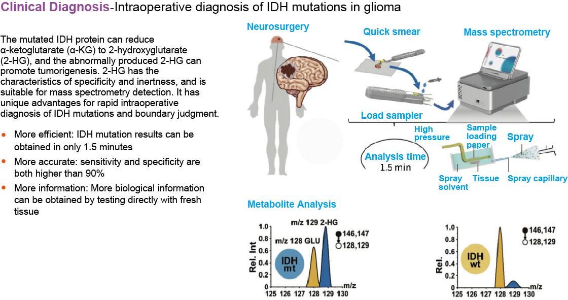 Portable Mass Spectrometer
