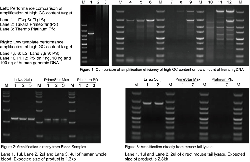 LiTaq™ Ultra High Fidelity DNA Polymerase | LifeSct