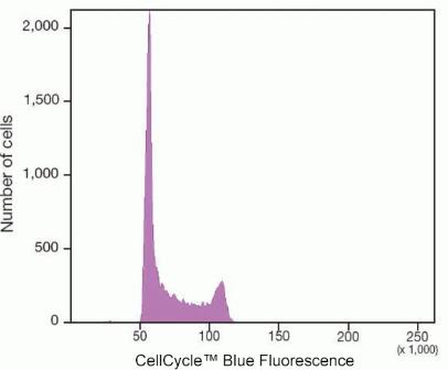 Cell Cycle Blue Stain